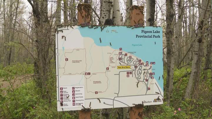 An army of 'very hungry caterpillars' invades a popular Alberta campground