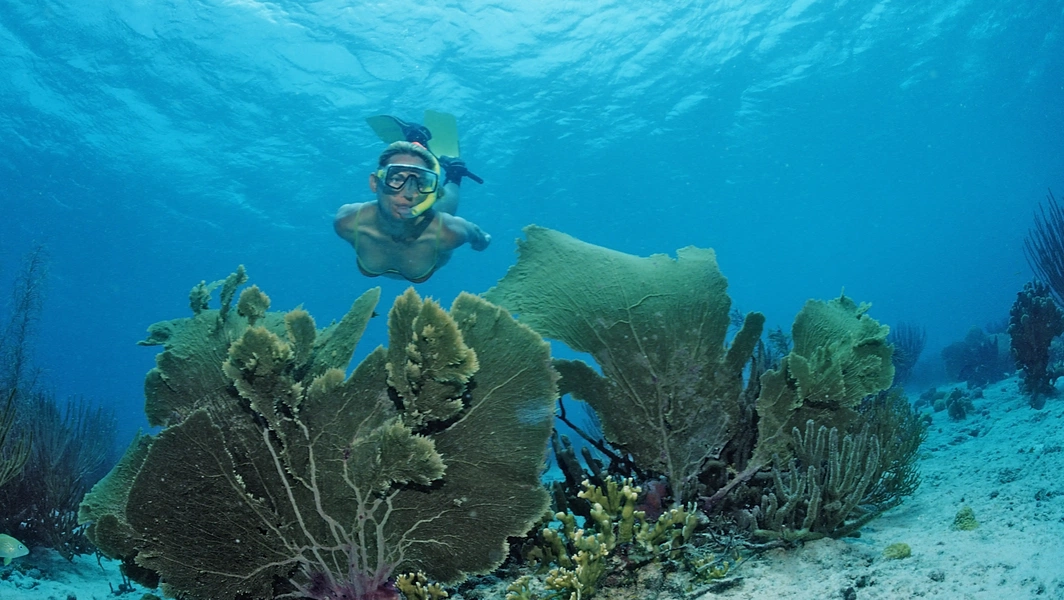 9 remote Caribbean islands rich in nature and culture