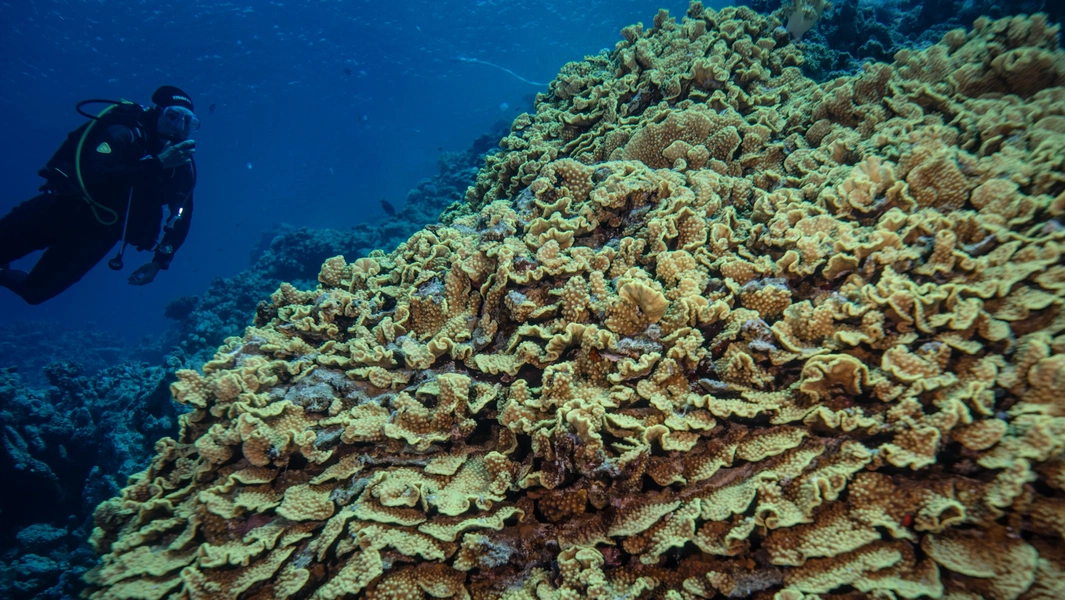 20 spectacular natural wonders around the world