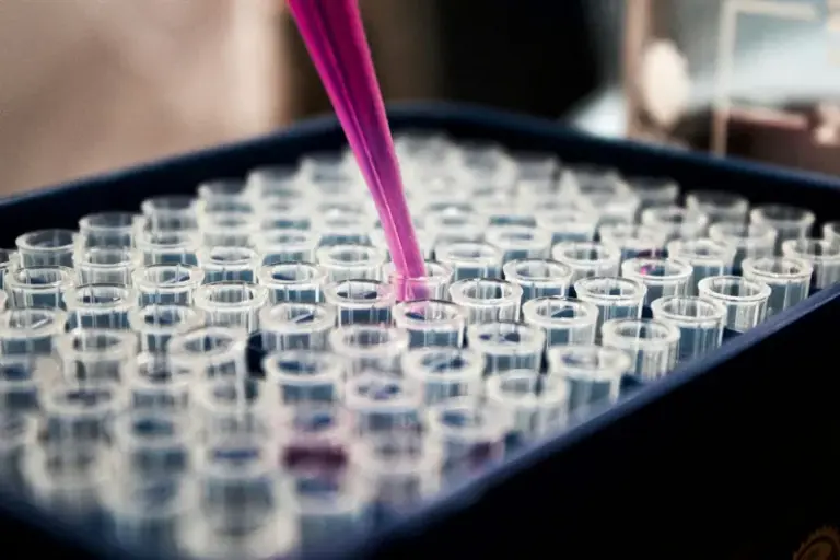A*STAR and NUS launch synthetic biology commercialisation lab