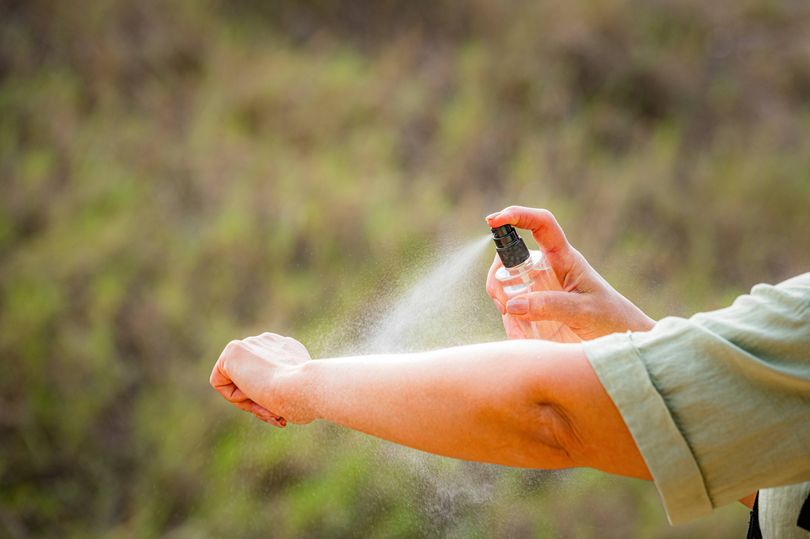Stop insects biting you with natural scent they hate