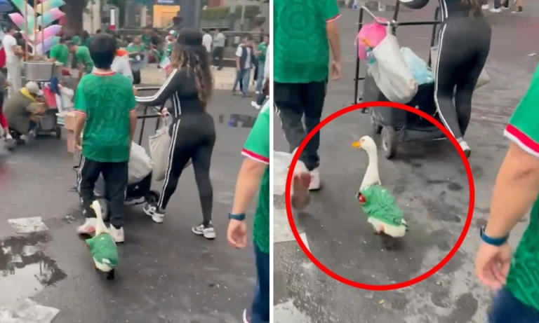 Nombran embajador de FIFA a "Merlin", el pato mundialista que se ganó ...