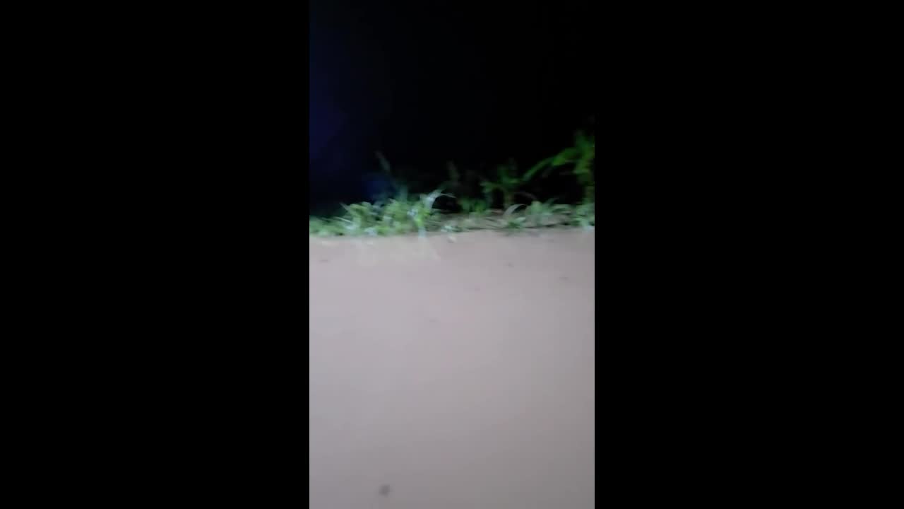 Rising floodwaters submerge homes in southern Thailand