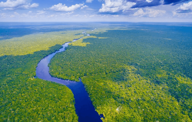 15 jungle destinations where nature still rules completely