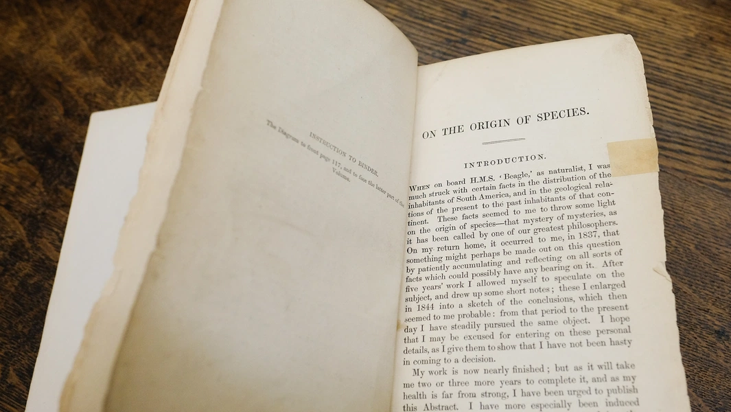 Social codes and contradictions of the Victorian era