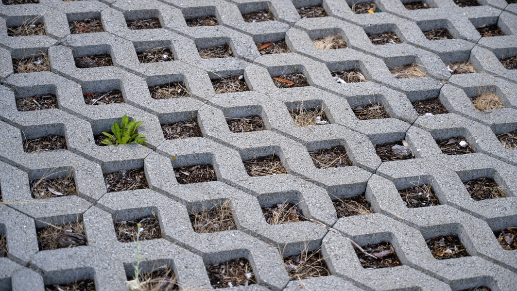 Weed control techniques for paved surfaces