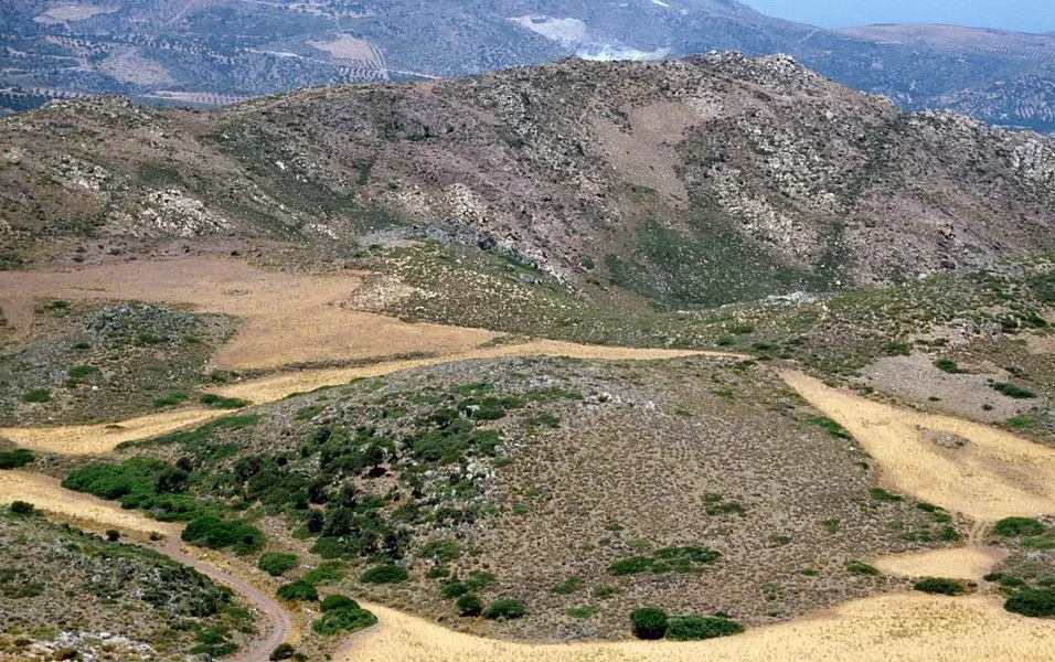 Oldest human-like footprints found in Crete date to 6.05M years
