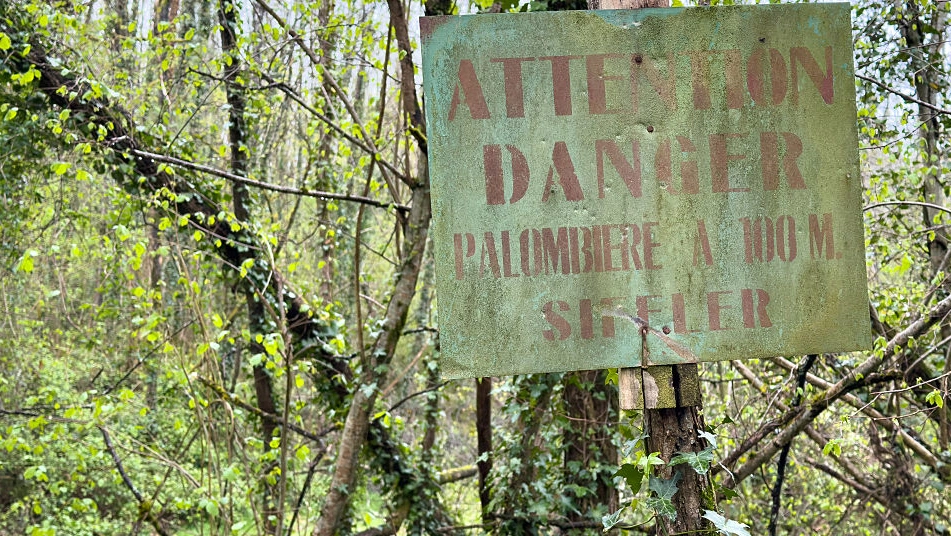 6 key warning signs of an unproductive hunting spot