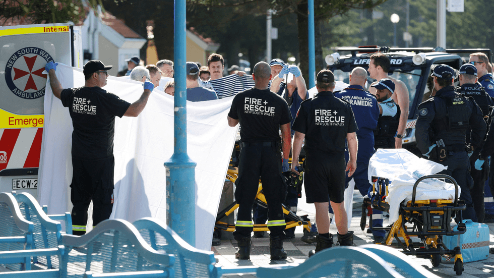 Woman left fighting for life after horror shark attack at popular ...
