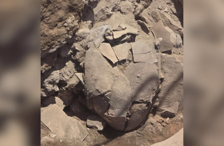 Ancient jars unearthed at biblical Shiloh days before annual wine festival