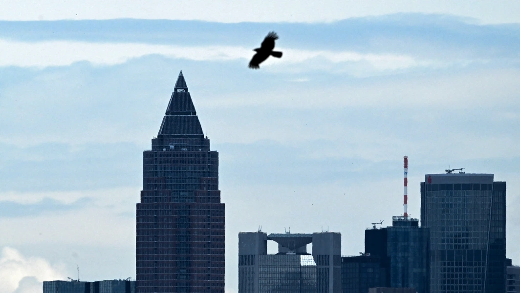 Human activities that threaten bird survival