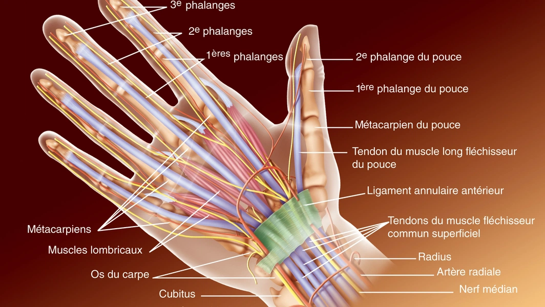 6 signs and stretches for carpal tunnel relief