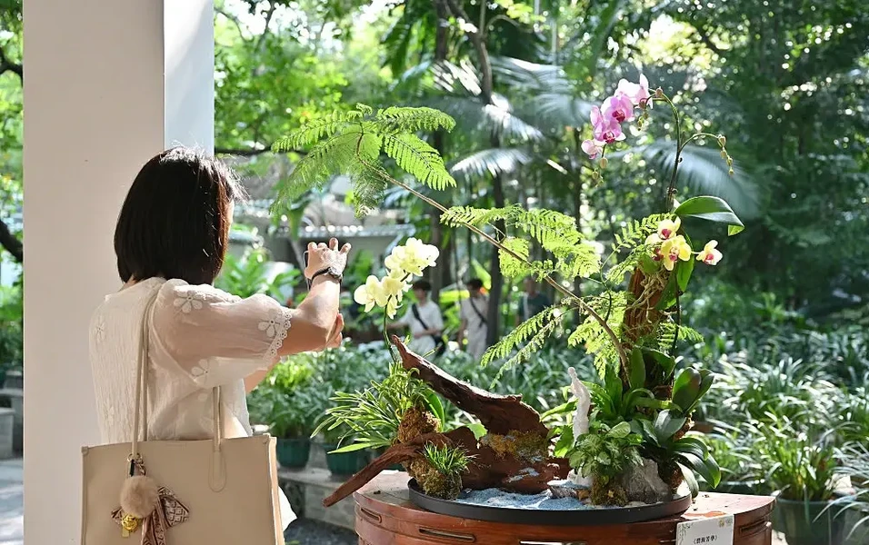 Orchid care secrets every plant lover needs