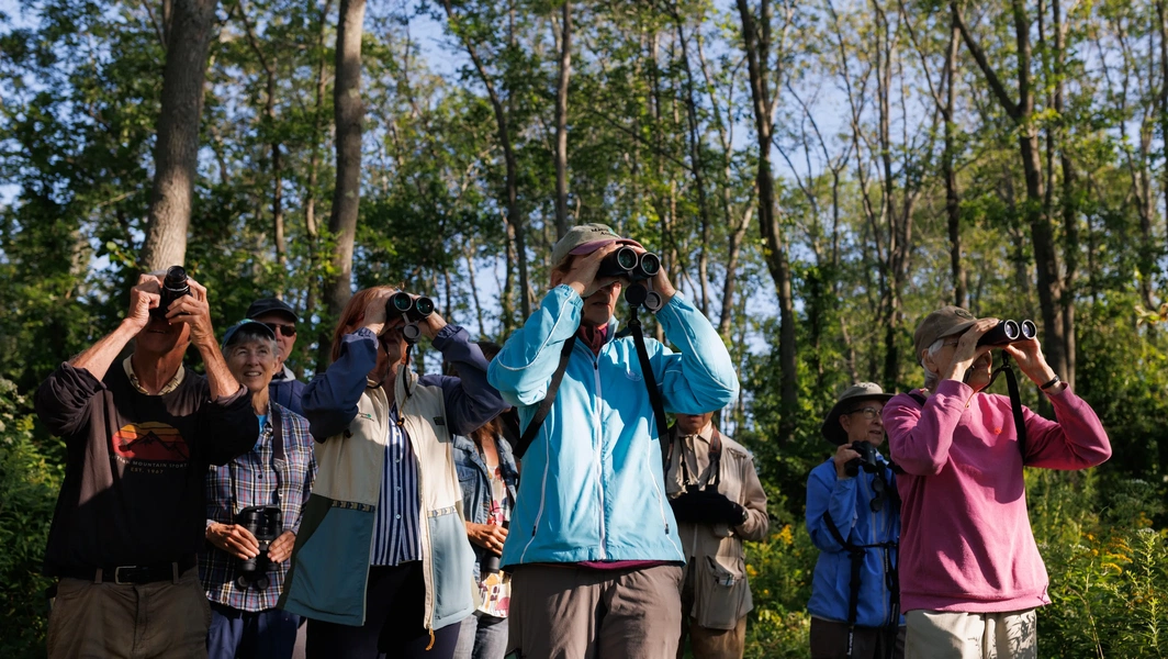Painted bunting draws crowds as US birding hotspots revealed