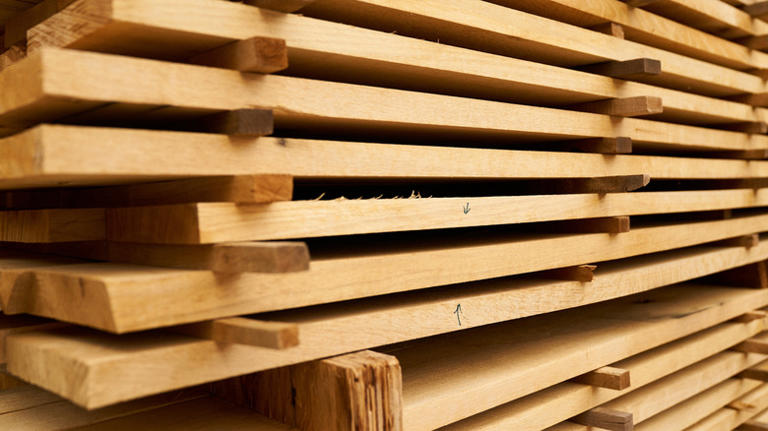 That downed tree may be a gold mine for your own wood