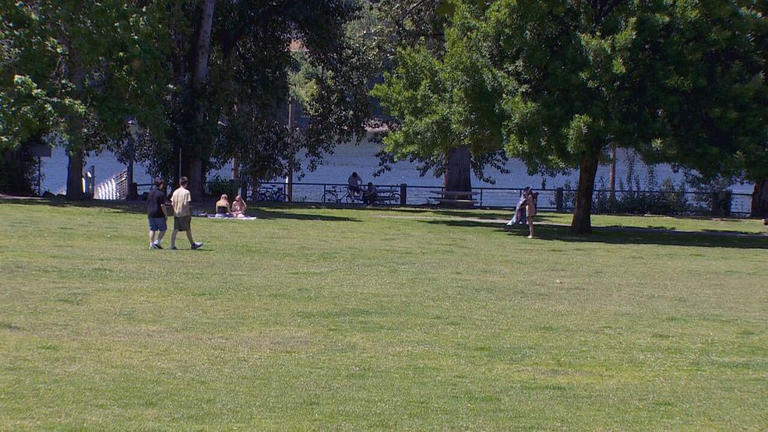 Portland police ask witnesses of Sellwood Park shooting that wounded ...