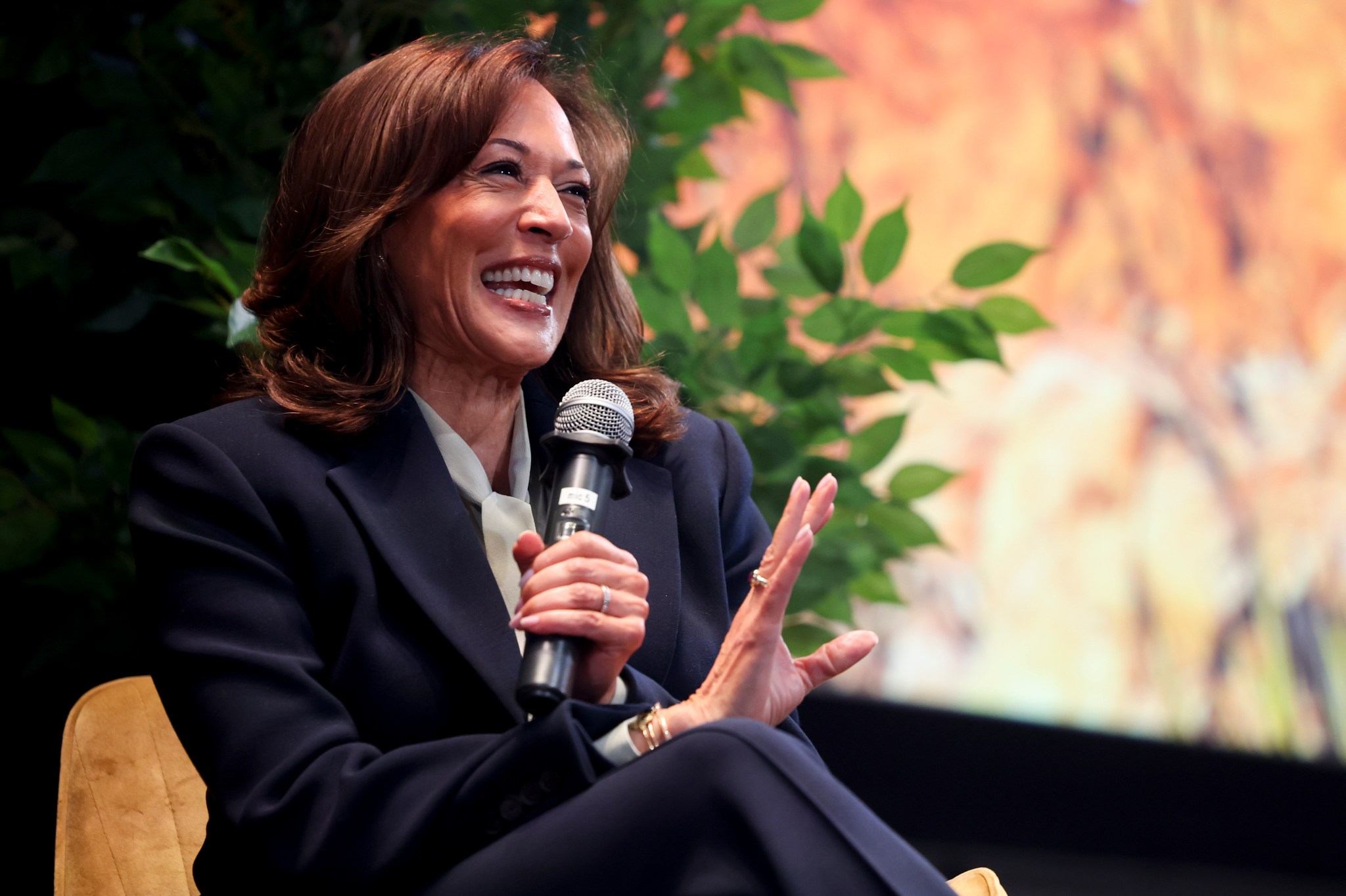 New 2028 poll shows Kamala Harris leading Gavin Newsom by double digits