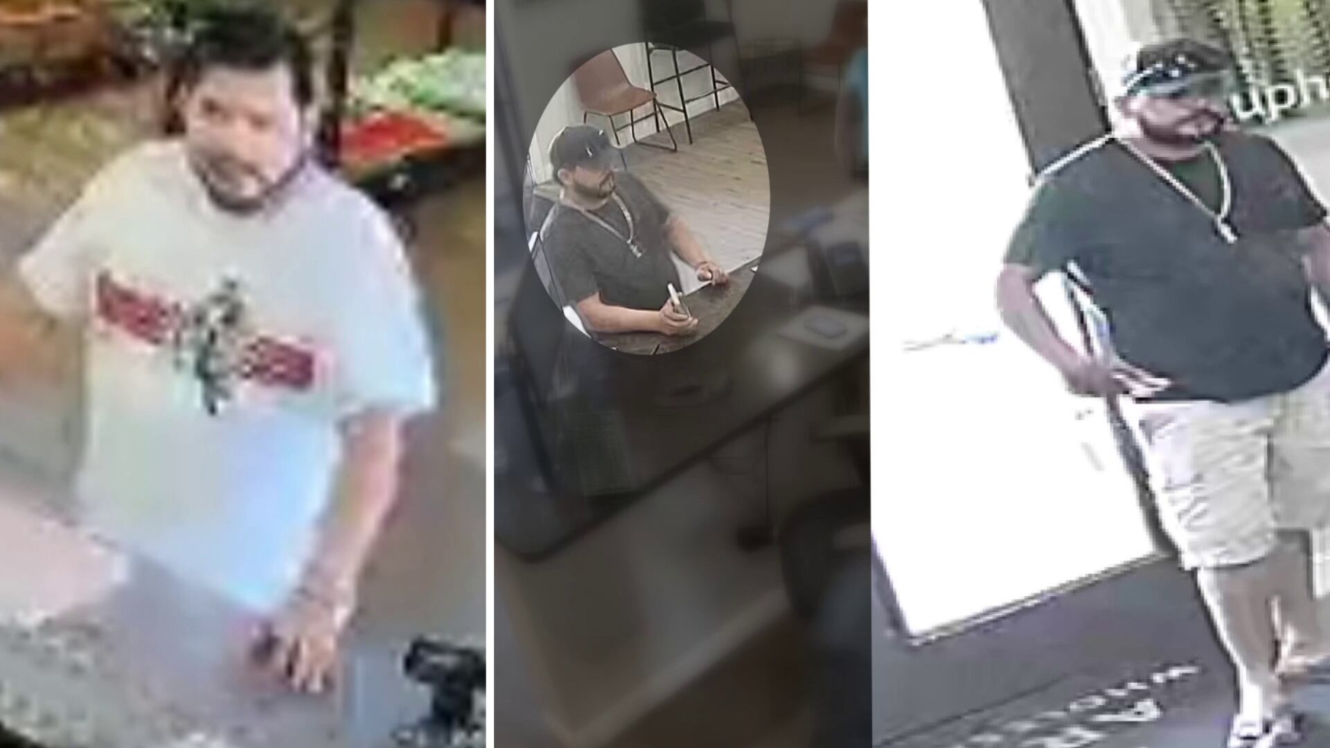 Phoenix-area nurseries say scammer stole thousands in ficus trees
