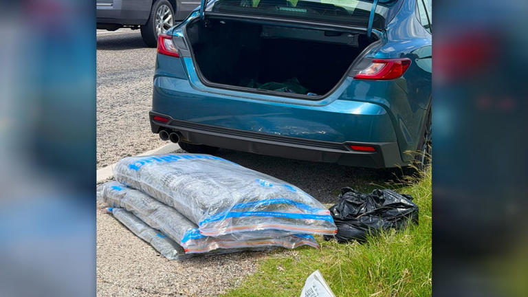 Wichita Co. deputies find trunk 'completely full' of marijuana during ...