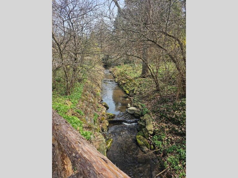 🌱 Patch AM: Toddler's fatal drowning in Philadelphia home raises ...