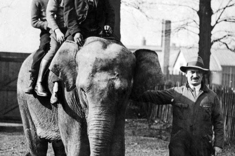 The forgotten Liverpool zoo that was once home to a smoking chimp