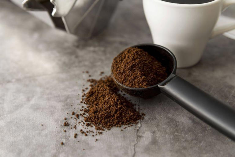 How to keep ants out of your home this summer with simple coffee ...