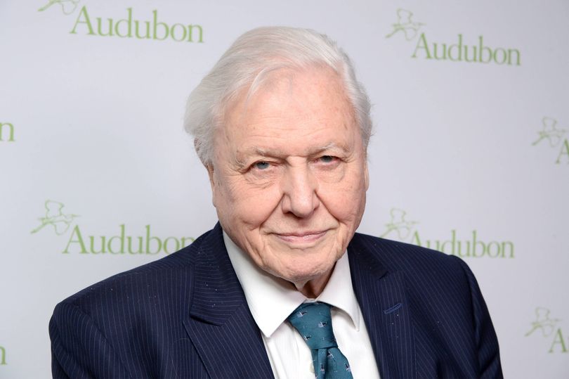 David Attenborough has breakfast linked with anti-ageing and brain health