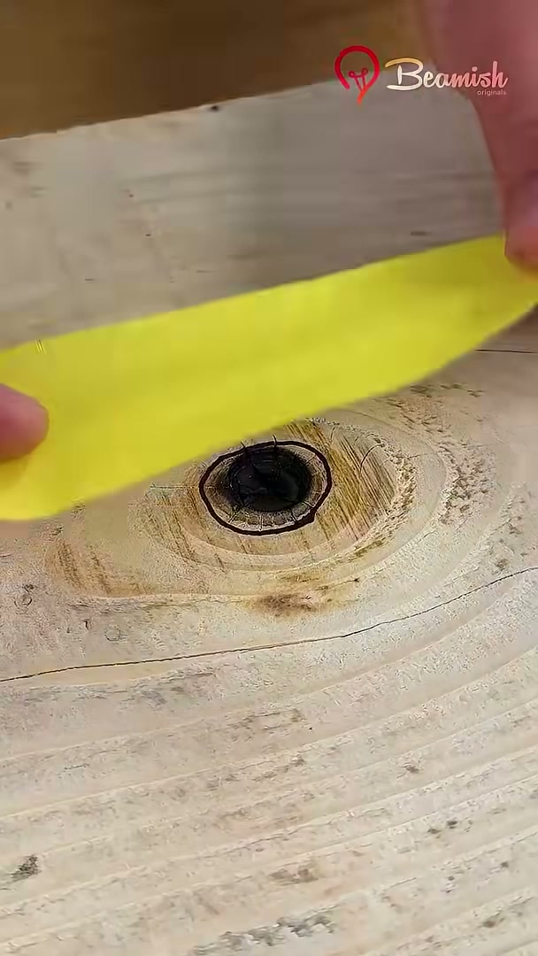 Easy wood knot patch technique #diywood #knot #patch #trick