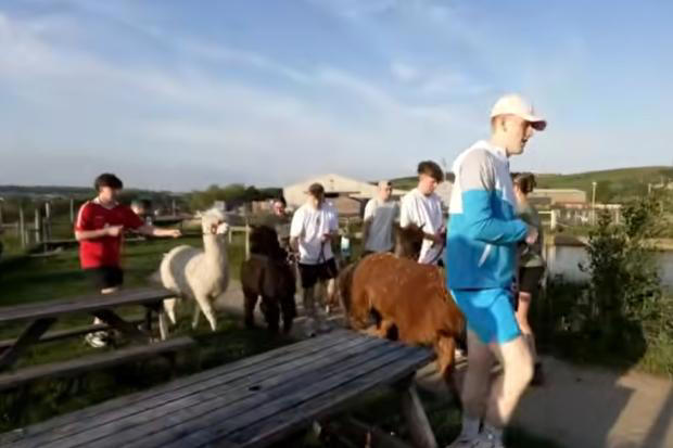 I'm a Celeb winner Angry Ginge visits Cockfields Farm with the Bov Boys