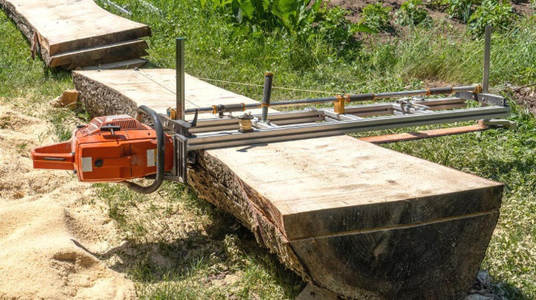 That downed tree may be a gold mine for your own wood
