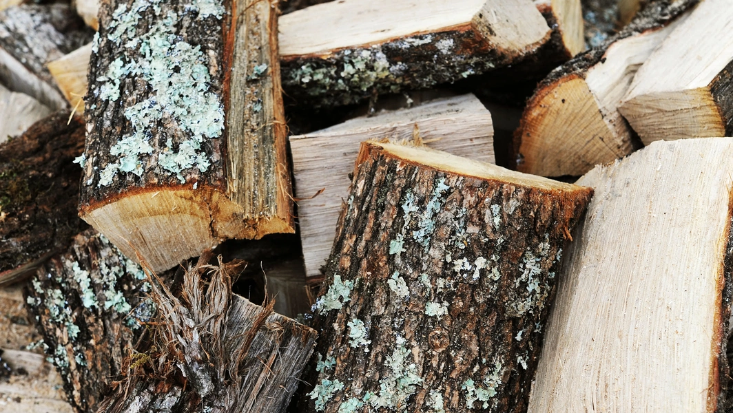 16 types of firewood you should never burn