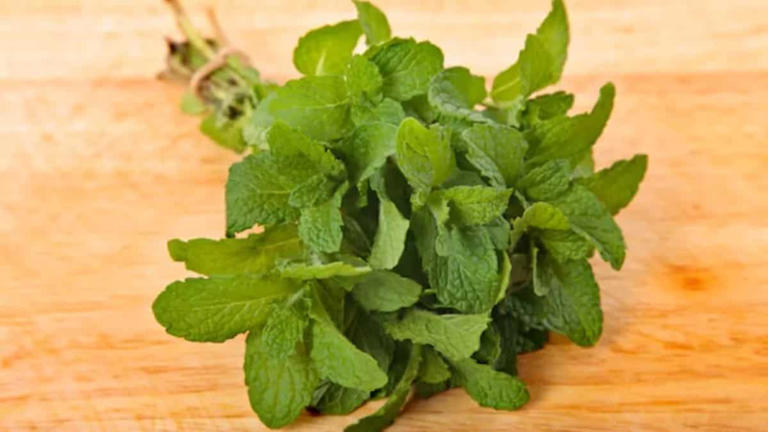 Cooling spices Indian kitchens turn to during summer
