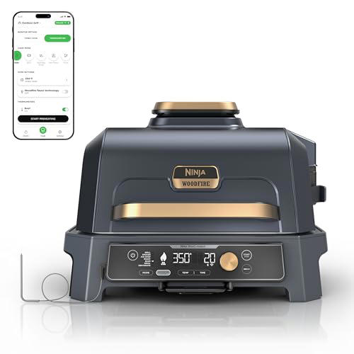Ninja’s electric grill is taking the stress out of BBQs – faster ...