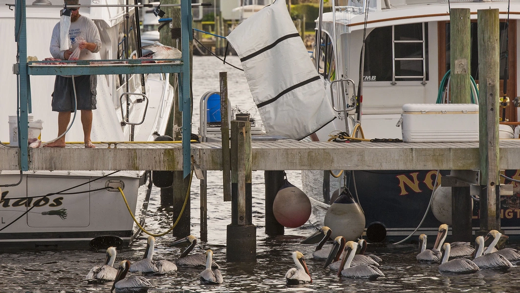 10 peaceful Florida getaways for nature and small-town charm