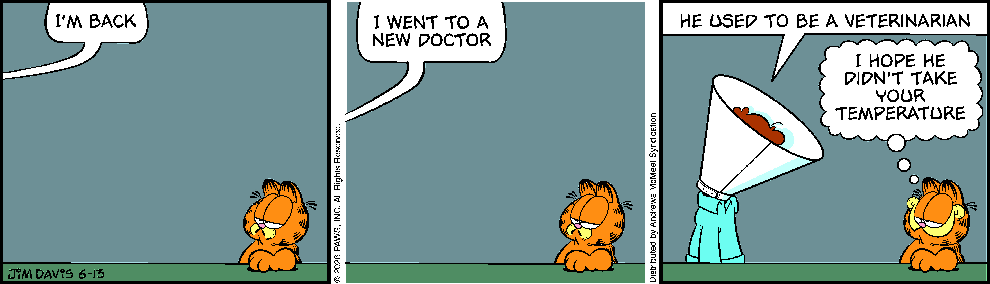 Garfield by Jim Davis