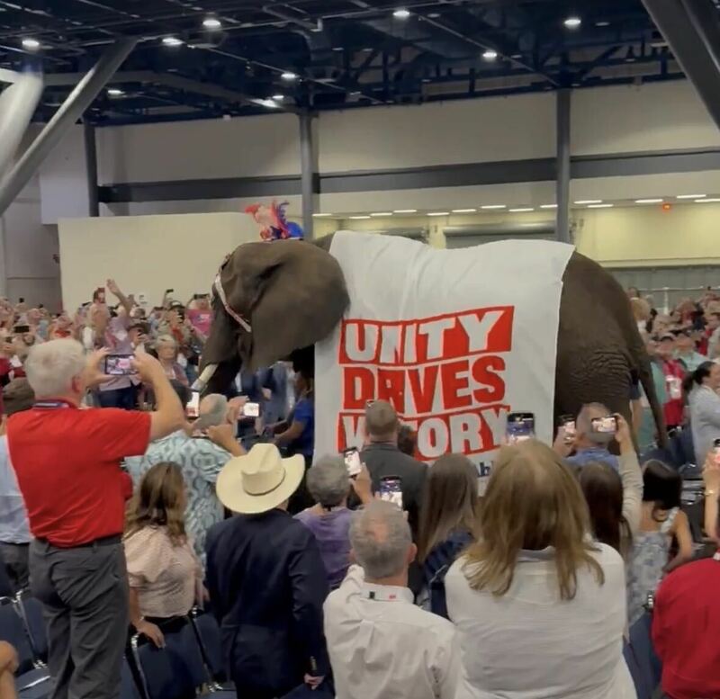 Paige the elephant 'makes a splash' at Republic convention in Texas and ...