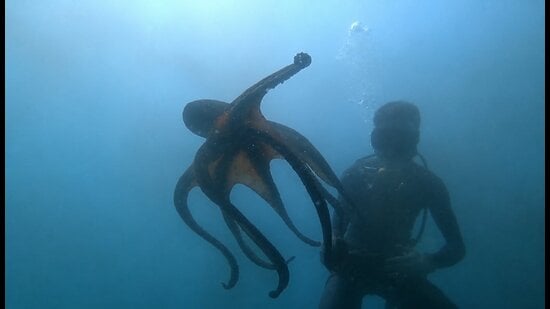 Reel of fortune: Fishermen turn content creators, capturing life at sea