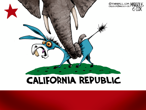 Editorial: Political cartoons from Margolis & Cox