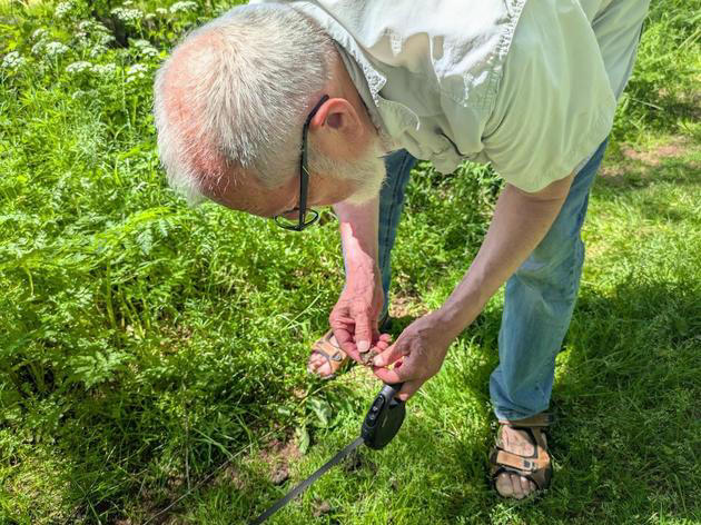 Wolfsberater über Risse durch Rudel in der Region: „Wir dürfen die ...