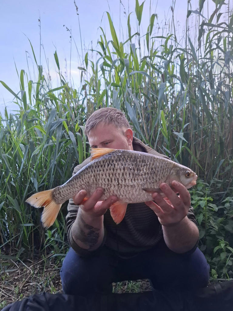 Black foam zig rig tempts massive roach