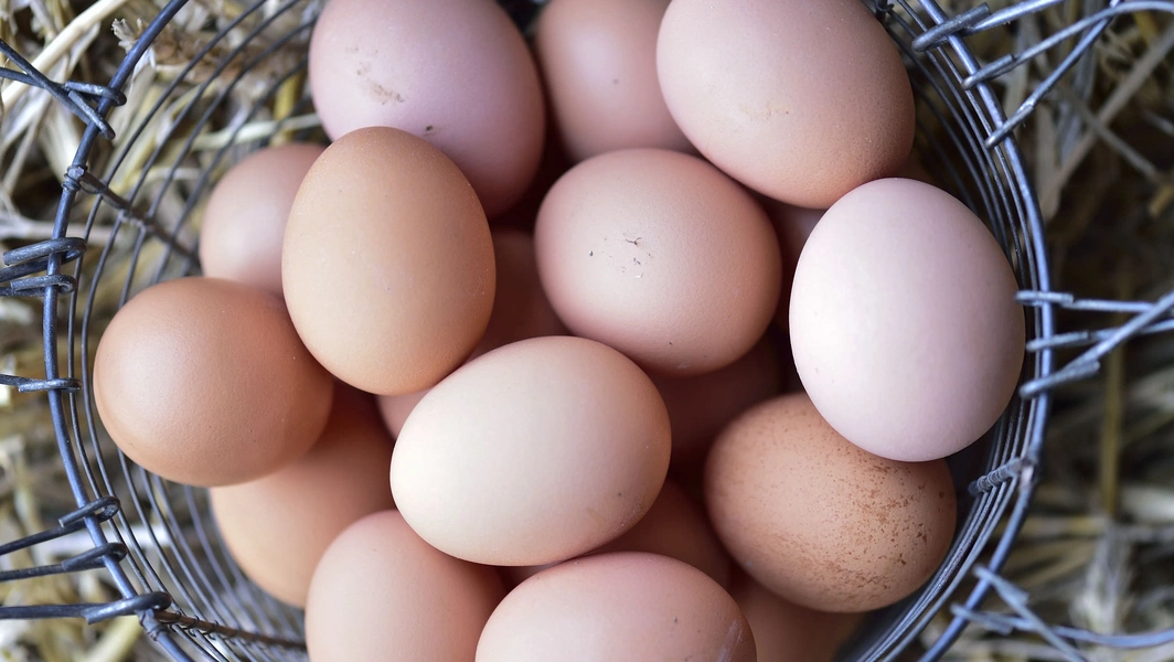 4 Mennonite and Amish markets with local flavor
