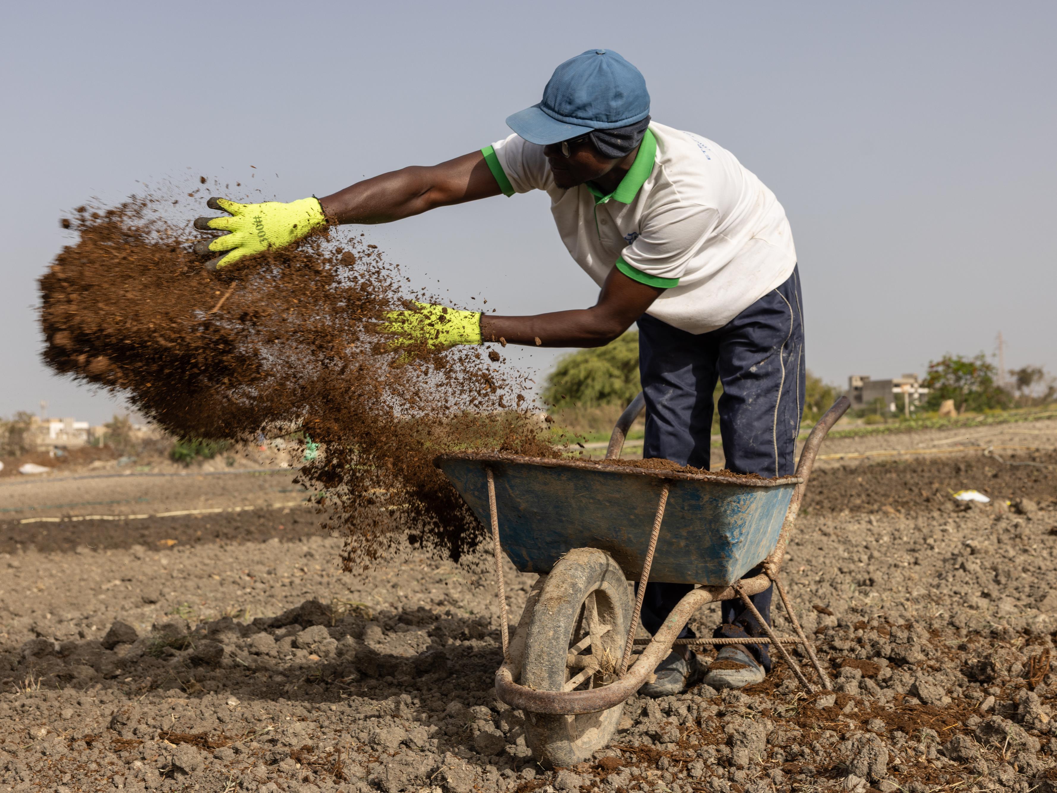 Fermeture d’Ormuz : un « choc structurel » qui menace la sécurité ...