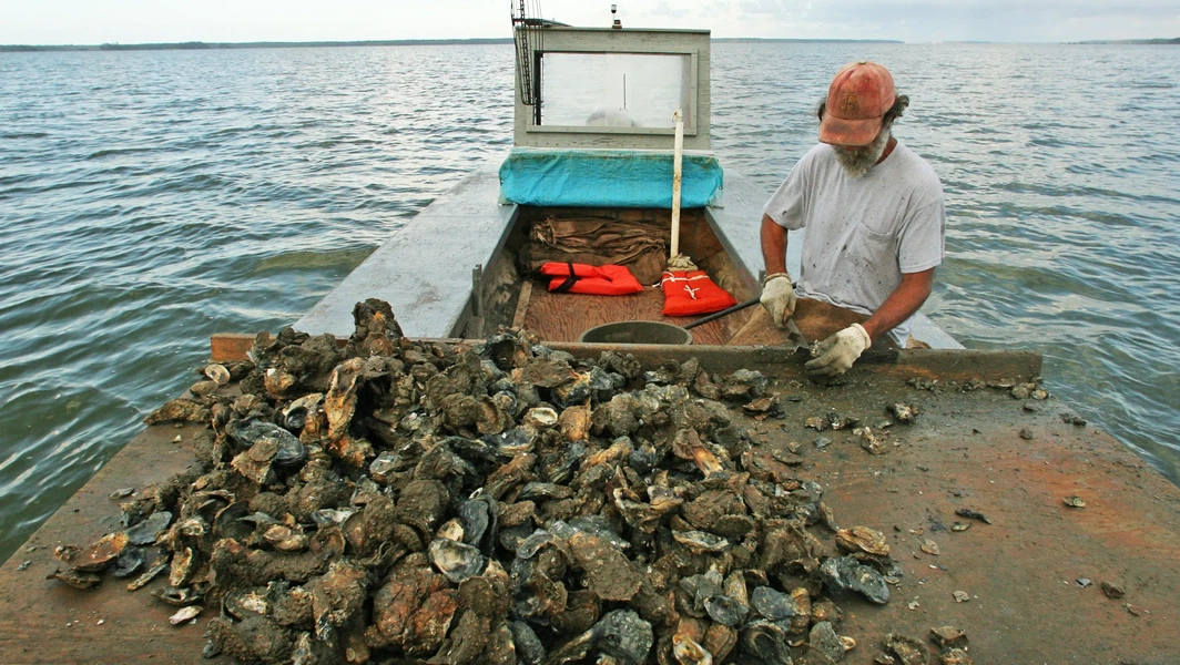 5 destinations on Florida's Forgotten Coast
