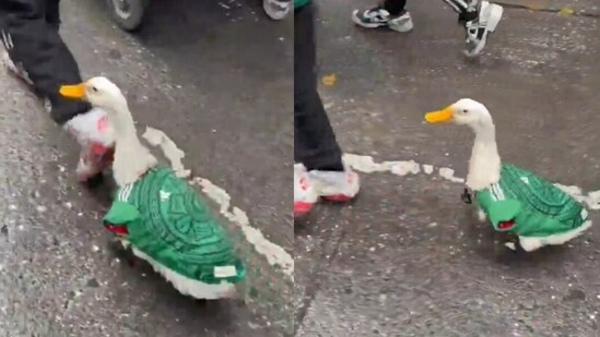 Duck in a jersey steals the show as World Cup fever sweeps Mexico