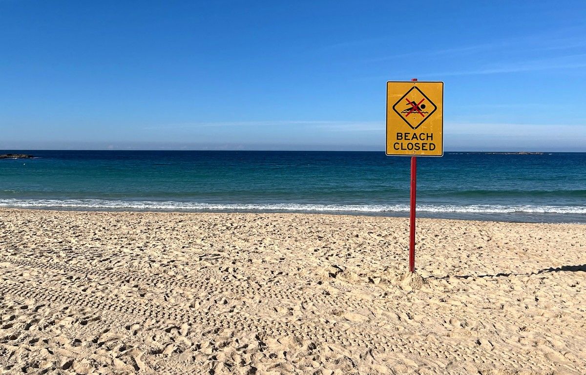 Australie : Une nageuse grièvement blessée après avoir été mordue par ...