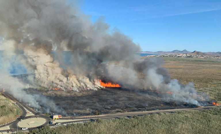 Cómo prevenir los incendios forestales: biomasa, pastoreo y cultivos ...