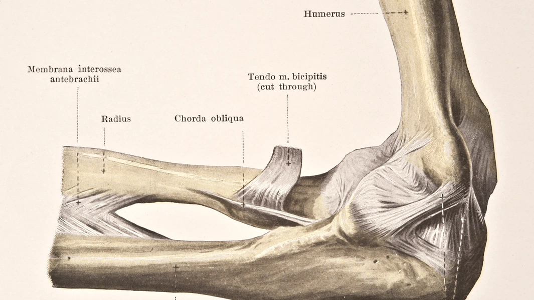 That tingling in your fingers might be from your elbow
