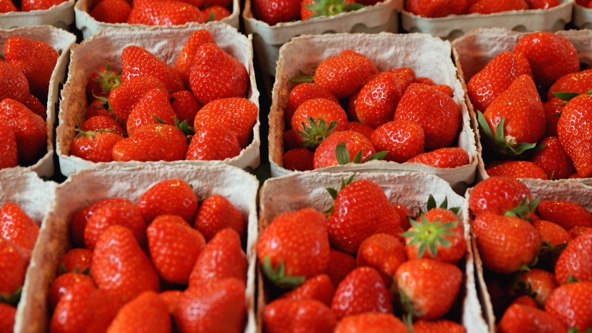 10 Meter lang, 400 kg Erdbeeren, 30 Liter Sahne: Dorffest endet mit ...