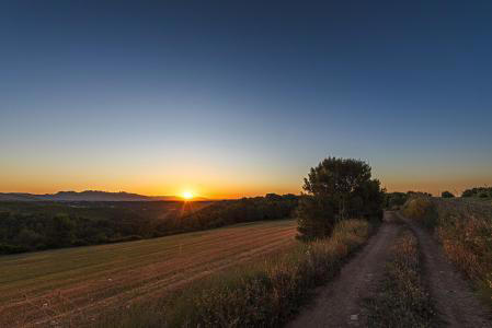 El lucimiento del cielo raso del Alt Penedès