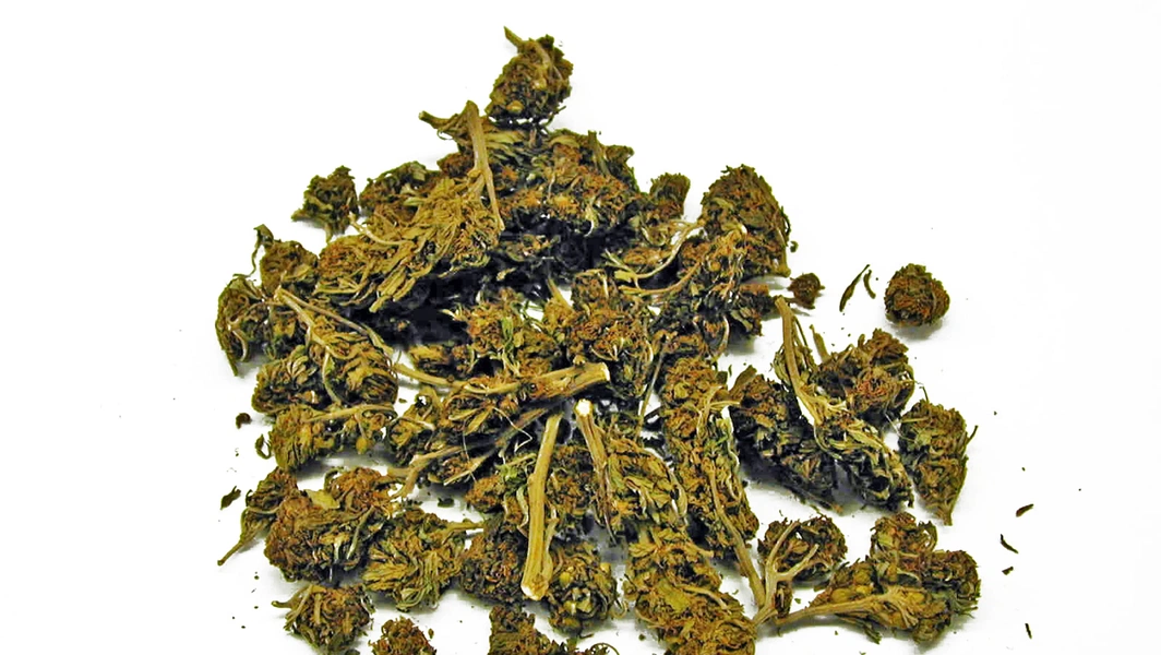Understanding marijuana overdose risks and effects
